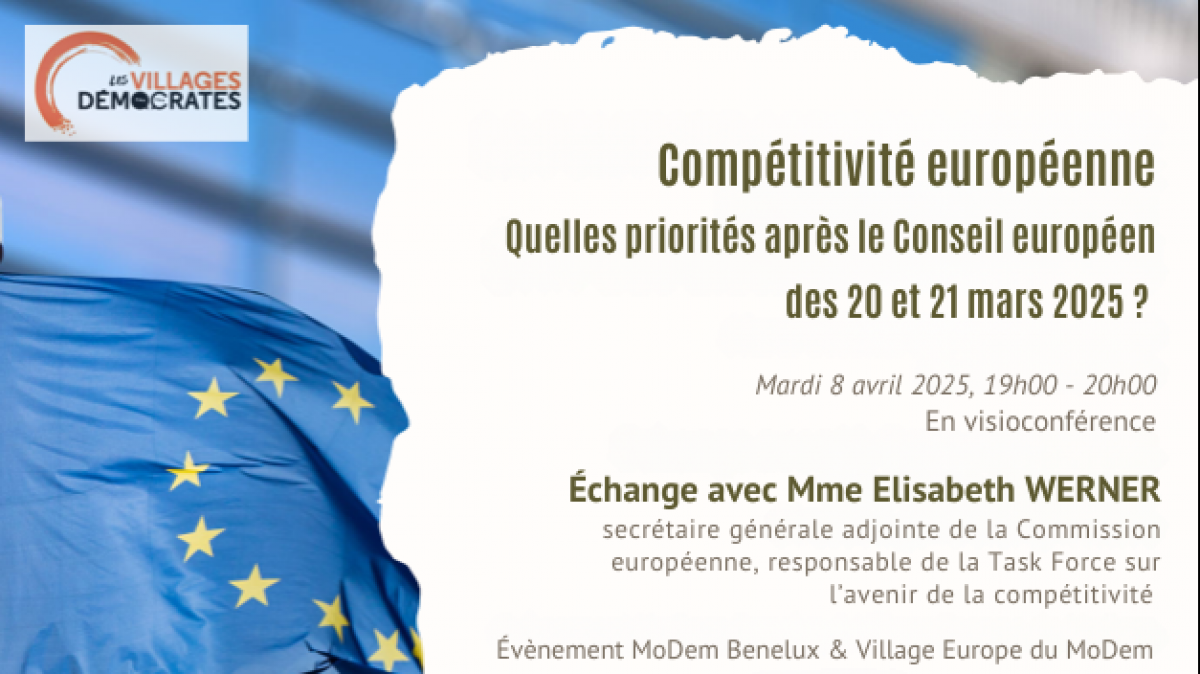 Village Europe : audition d'Elisabeth Werner, secrétaire générale ...